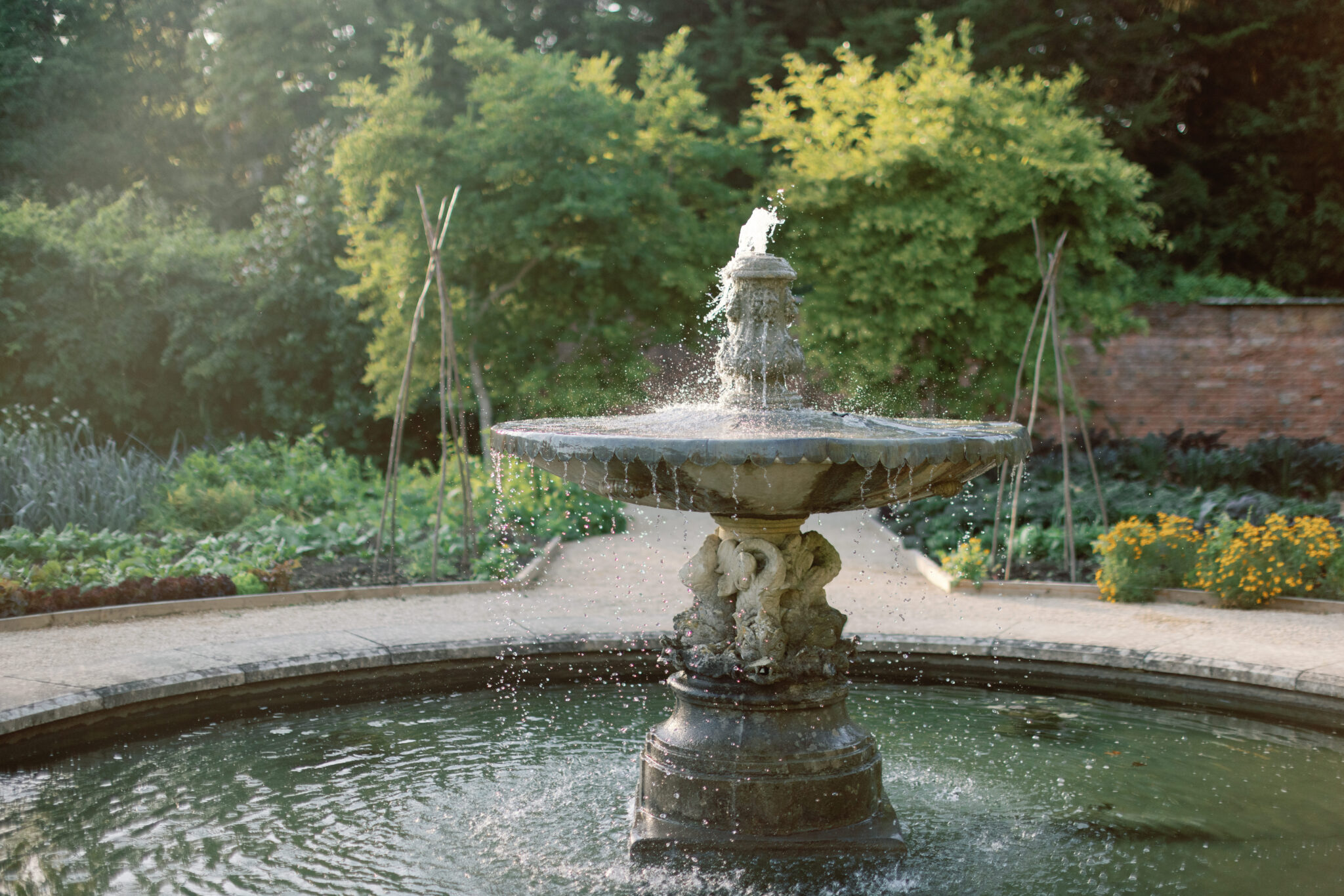 History – Parnham Park